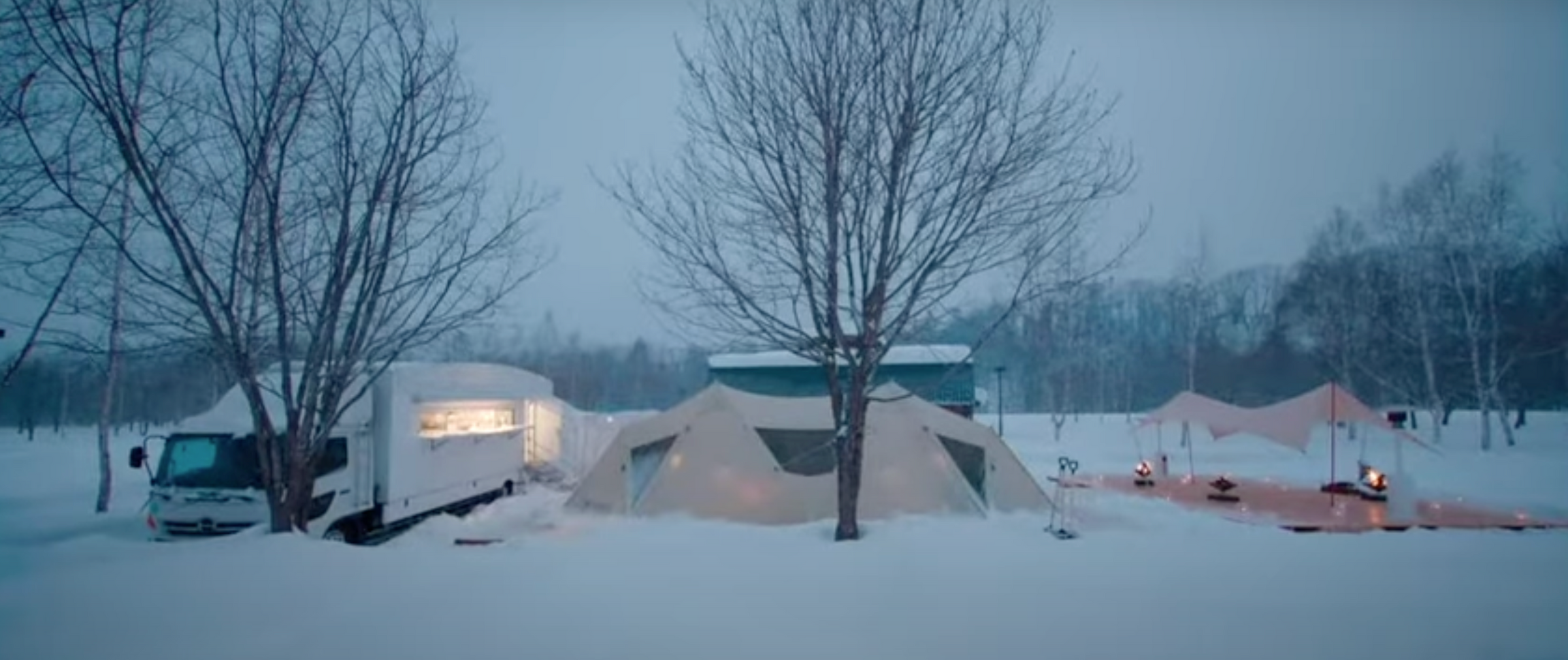 Our History