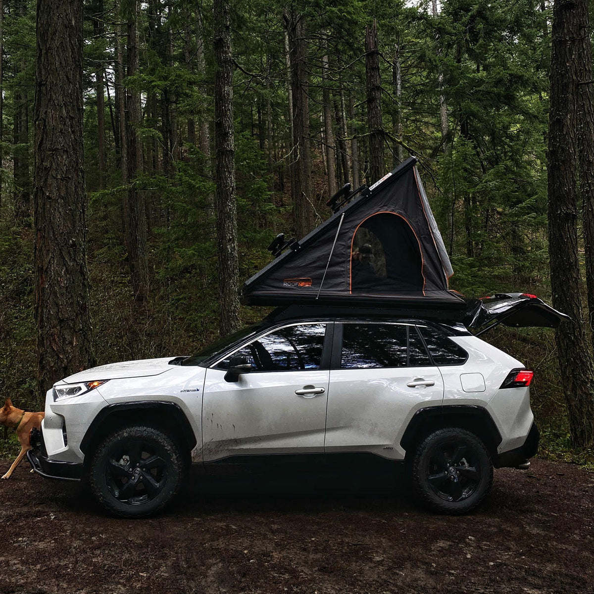 [TOYOTA RAV4 ROOF RACK] 2019-2021